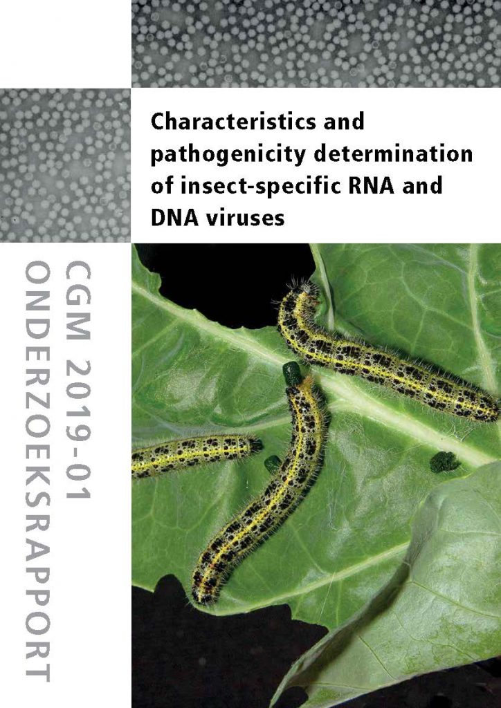 Characteristics and pathogenicity determination of insect-specific RNA ...