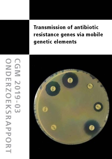 Transmission of antibiotic resistance genes via mobile genetic elements ...